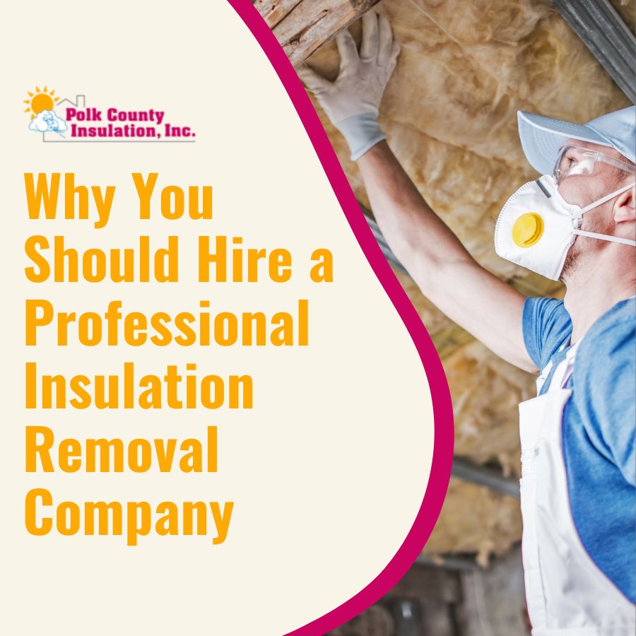 Why You Should Hire a Professional Insulation Removal Company | Polk County Insulation